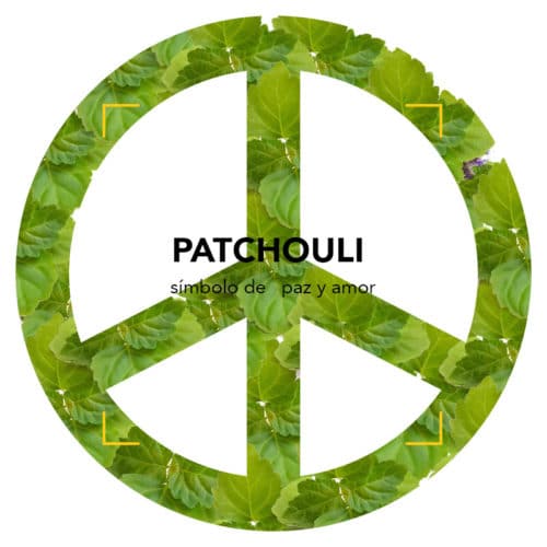 Los secretos del Patchouli » Fundación Academia del Perfume