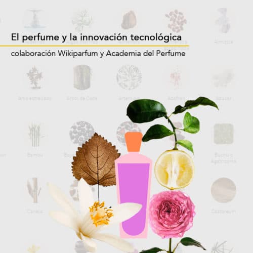 La Academia del Perfume y WikiParfum anuncian su acuerdo de colaboración » Fundación Academia ...