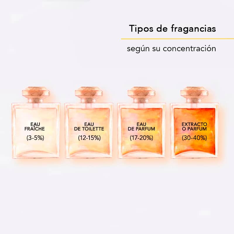 Tipos de fragancias según su concentración Academia del Perfume