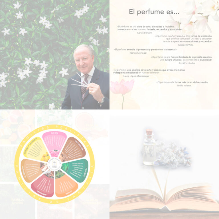 Noticias » Fundación Academia del Perfume
