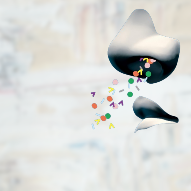 Noticias » Fundación Academia del Perfume