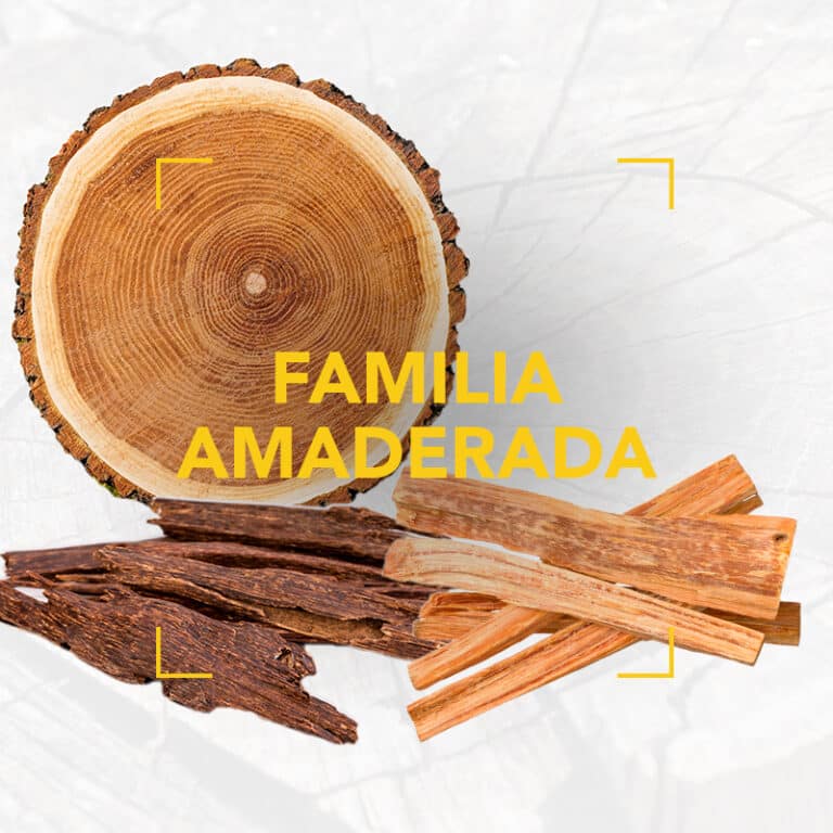 Familias Olfativas » Fundación Academia del Perfume