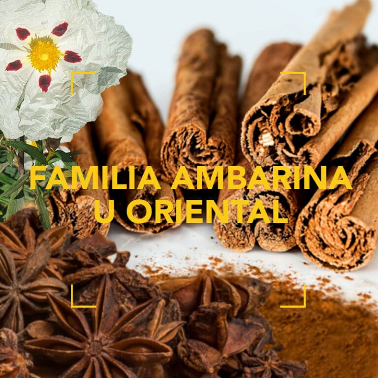 Familias Olfativas » Fundación Academia del Perfume