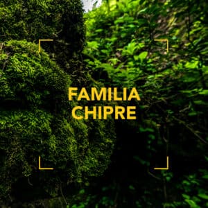 Familias Olfativas » Fundación Academia del Perfume