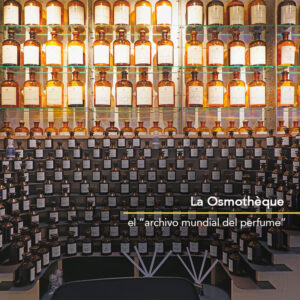 Conceptos de Interés » Fundación Academia del Perfume