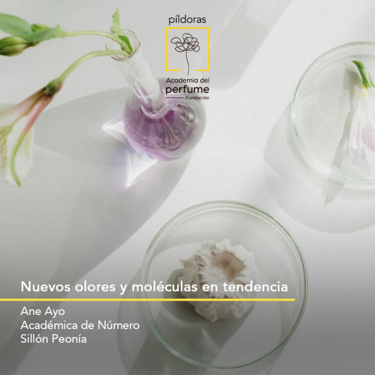 Las Píldoras del Perfume » Fundación Academia del Perfume