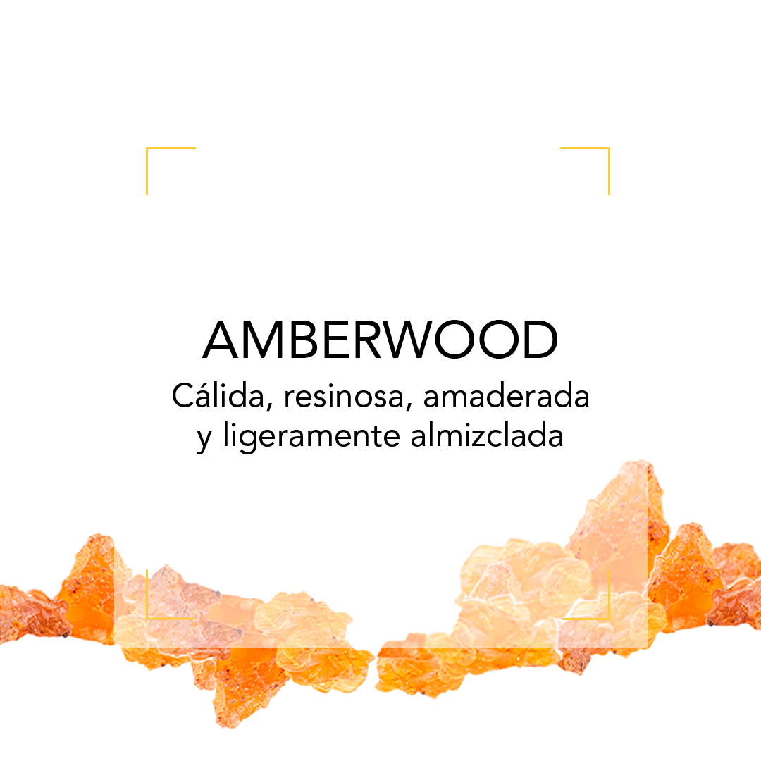 Amberwood » Fundación Academia del Perfume