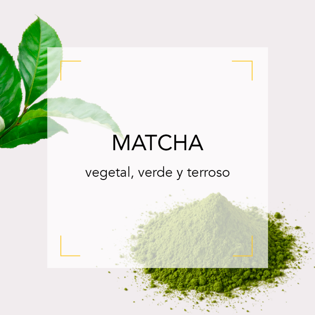 Matcha » Fundación Academia del Perfume